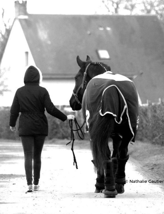 How To Fight The Cold 5 Tips For Winter Training Vaulting World