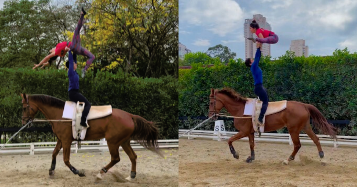 Vaulting Team Brazil: A new beginning after WEG 2018 | Vaulting World