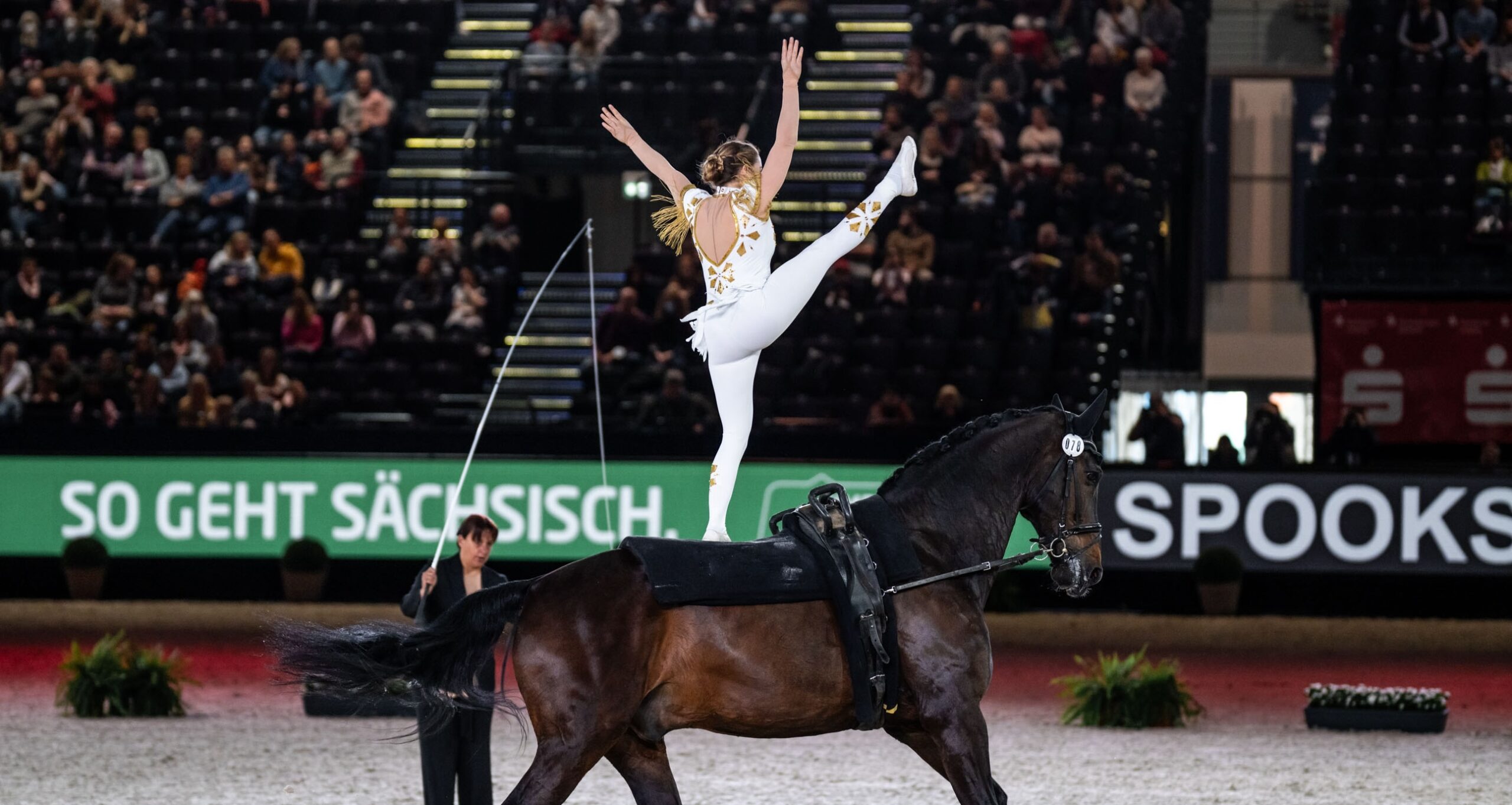 Everything You Need to Know About the FEI Vaulting World Cup™ Final ...